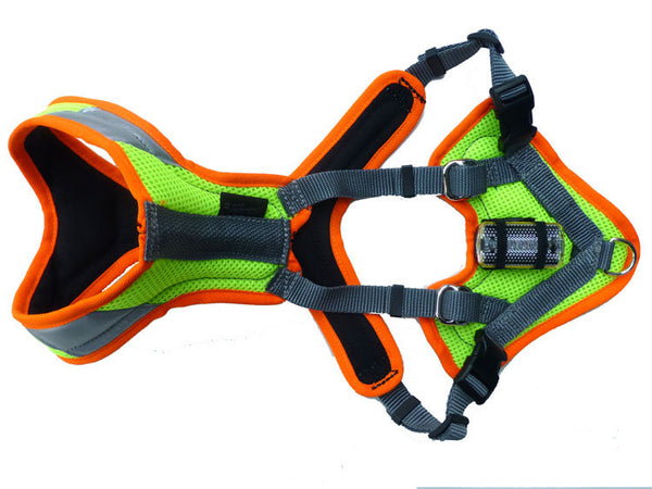 Mantrailing Harness with Lights | Dog Performance Gear